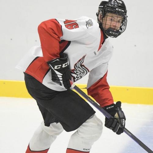 Theodor Knights - Stats & Facts - Elite Prospects