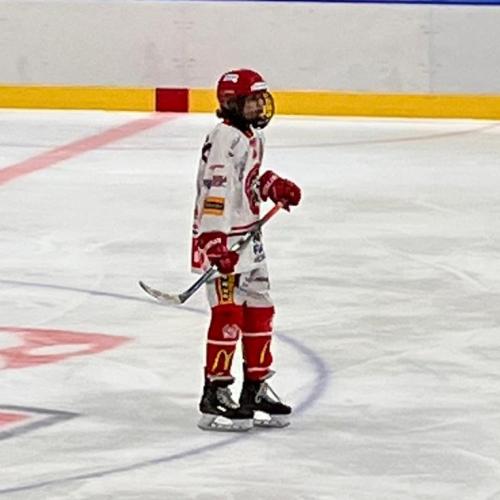 Nicola Dario Bosshard - Stats, Contract, Salary & More