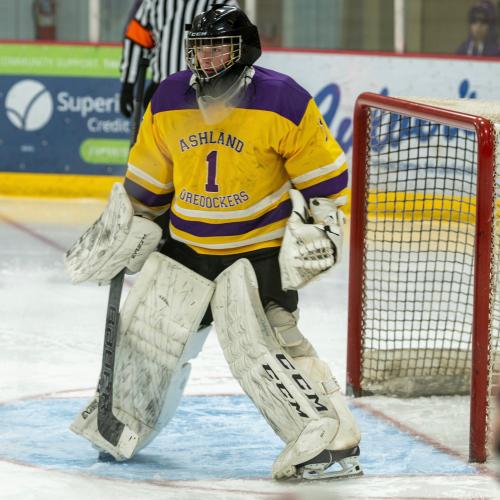 Liam Fish - Stats, Contract, Salary & More