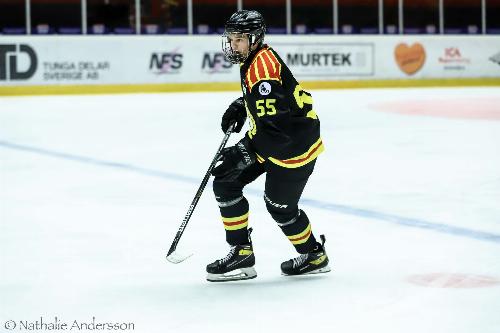 Charlie Löhman - Elite Prospects
