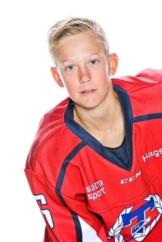 Hampus Zirath - Stats, Contract, Salary & More