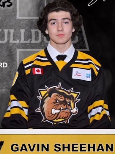Gavin Sheehan - Elite Prospects