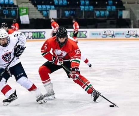 Oliver Barna - Stats & Facts - Elite Prospects