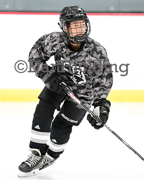 Tristan Chen - Stats & Facts - Elite Prospects