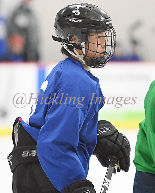 Brady Nelson - Stats & Facts - Elite Prospects