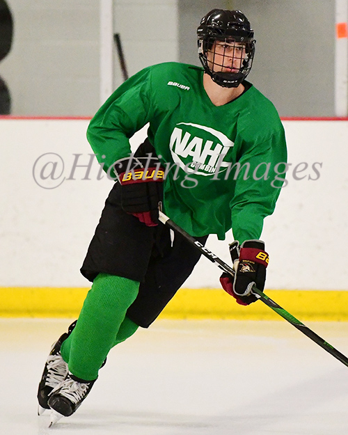 Ethan Perrault - Elite Prospects