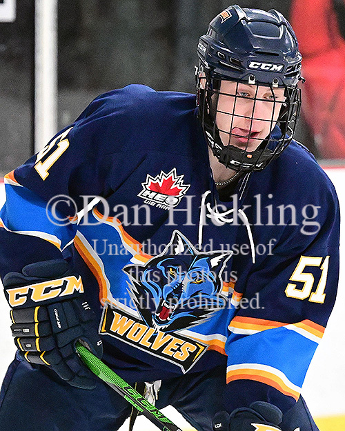 Liam Haggerty - Stats & Facts - Elite Prospects