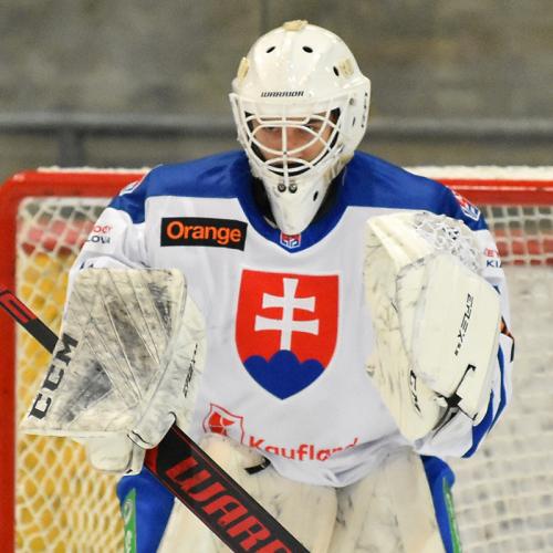 Lukas Fürsten - Stats & Facts - Elite Prospects