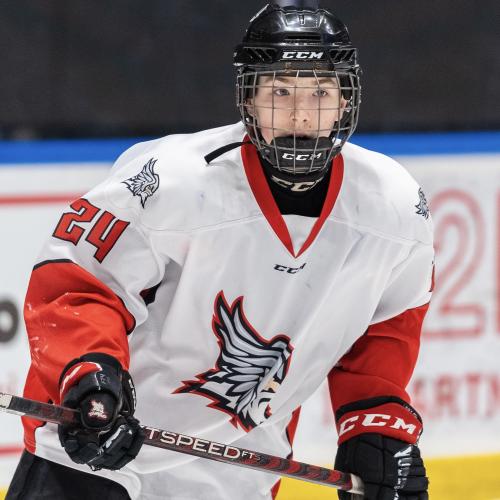 Viggo Björck - Stats, Contract, Salary & More