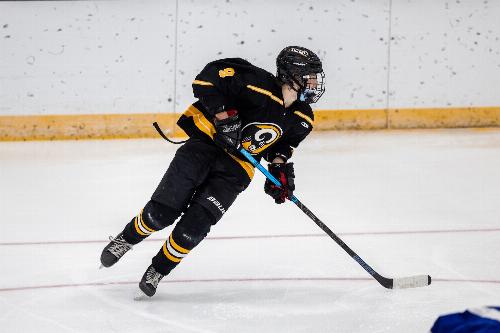 Chase Porter - Stats & Facts - Elite Prospects