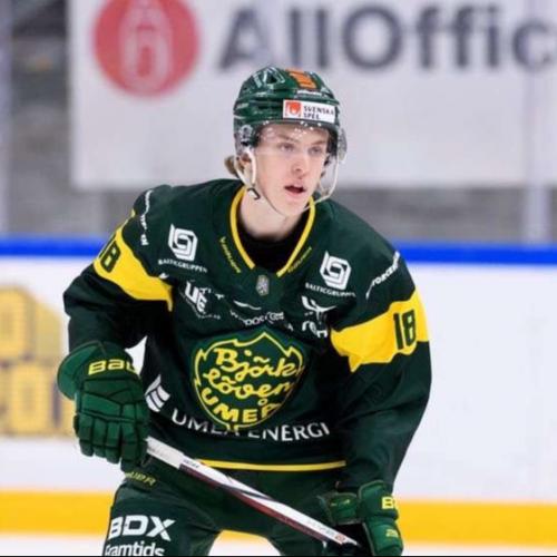 Axel Blom - Stats, Contract, Salary & More