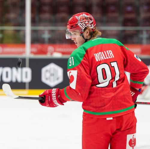 Joshua Waller - Elite Prospects