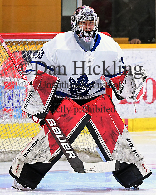 Colin Ellsworth - Stats, Contract, Salary & More