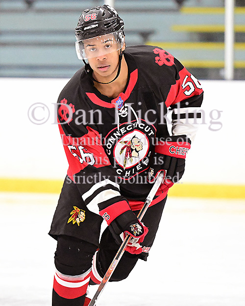 Mike Holland - Stats & Facts - Elite Prospects