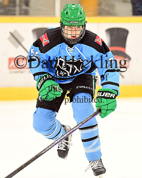 Dane Fink - Stats, Contract, Salary & More