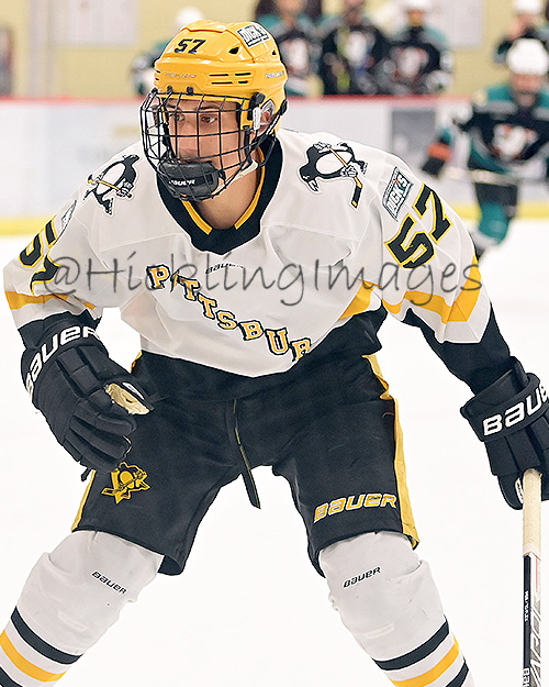 Anthony Sewecke - Elite Prospects