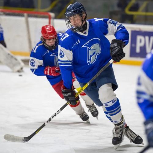 David Michel Kubiak - Stats & Facts - Elite Prospects