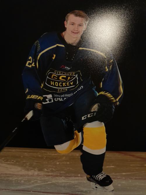 Jacob Andersson - Stats & Facts - Elite Prospects