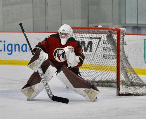 Ethan Laughlin - Elite Prospects