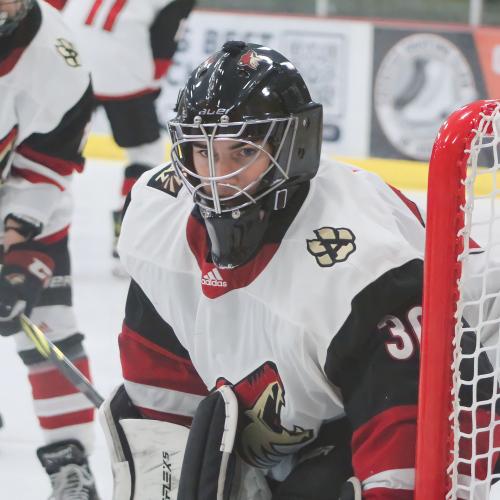 Benjamin Vatis - Elite Prospects