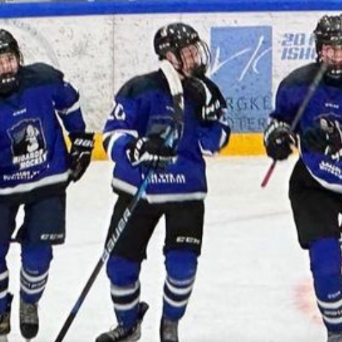 Olai Høyem Lien - Elite Prospects