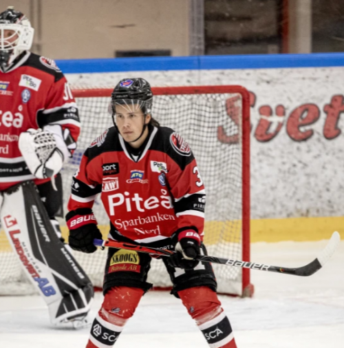 Calle Behm - Stats, Contract, Salary & More