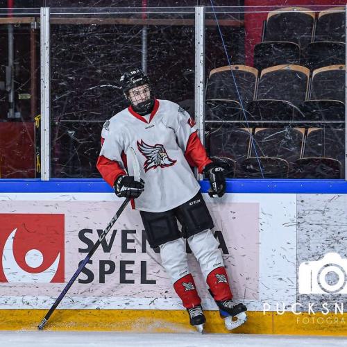 Marcus Nordmark - Stats, Contract, Salary & More