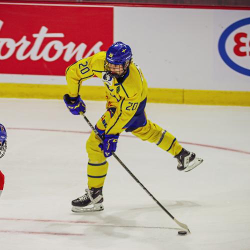 Eddie Genborg - Stats, Contract, Salary & More