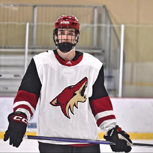Brayden Boucher - Stats & Facts - Elite Prospects