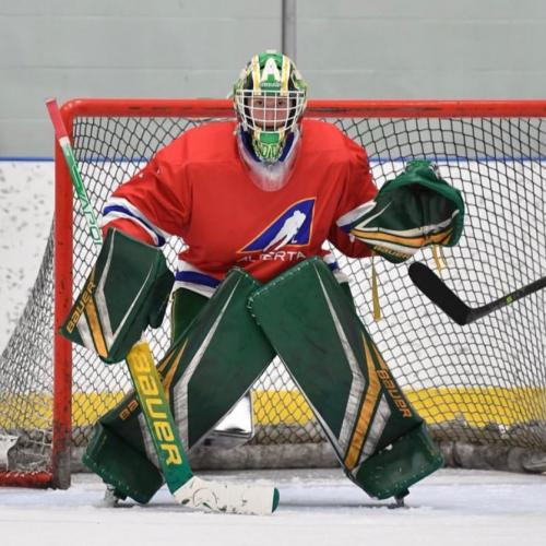 Ryley Budd - Stats & Facts - Elite Prospects