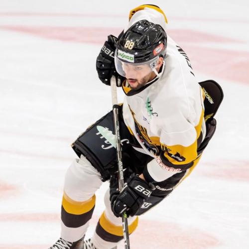 David Levin - Elite Prospects