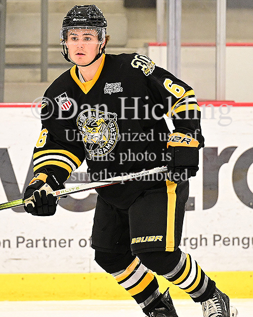 Owen Buesgens - Stats, Contract, Salary & More