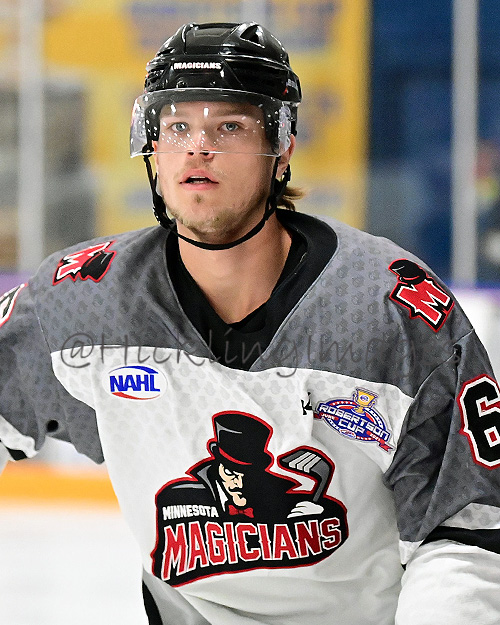 Karl Falk - Elite Prospects