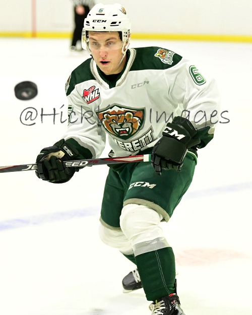 Ty Gibson - Stats & Facts - Elite Prospects