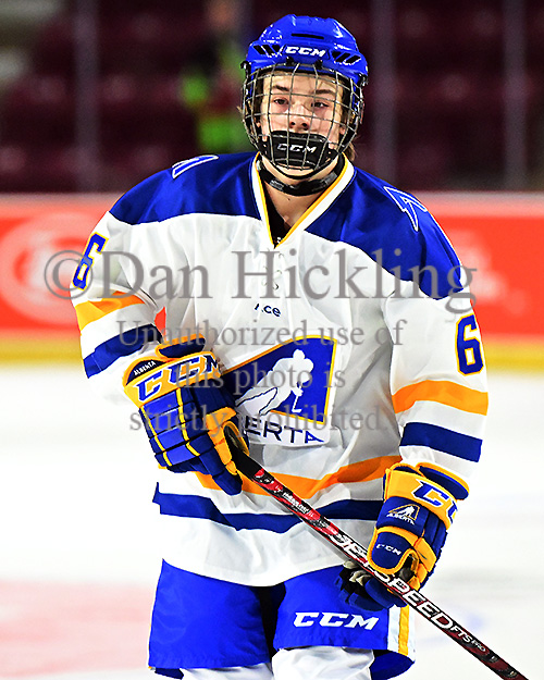 Hayden Harsanyi - Elite Prospects