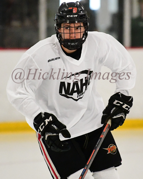 David MacDonald - Elite Prospects