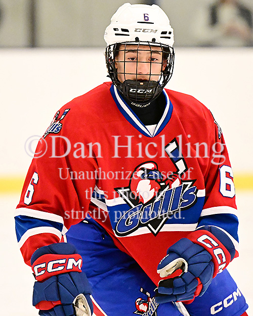 Justin Marino - Elite Prospects
