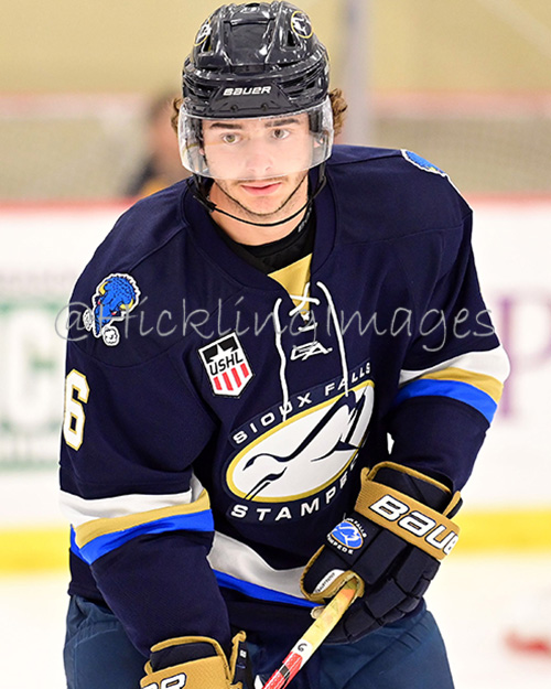 Cole Miller - Elite Prospects