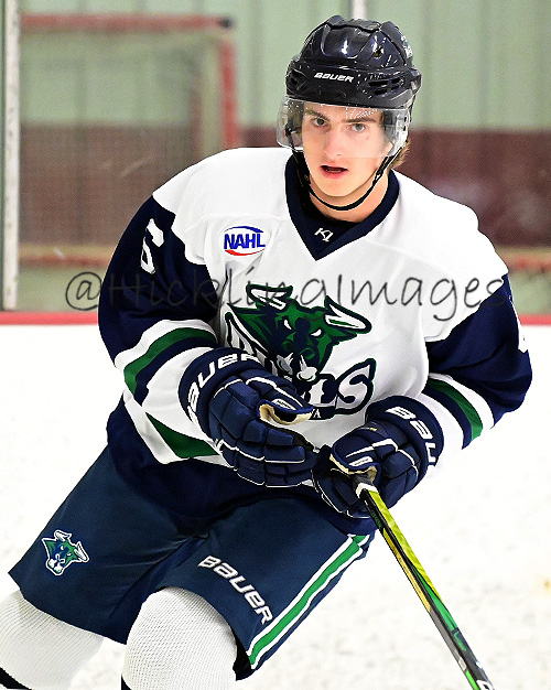 Joey Potter - Elite Prospects