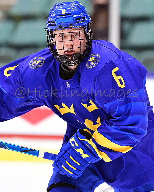 Victor Sjöholm - Elite Prospects