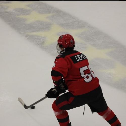 Nicolas Ceplis - Stats, Contract, Salary & More