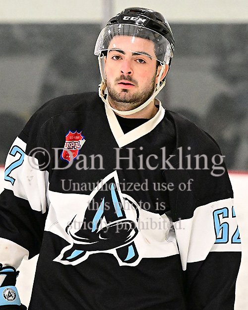 Noah-David Dayan - Elite Prospects