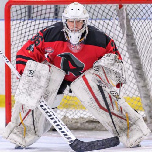 Tony Macaluso - Stats, Contract, Salary & More