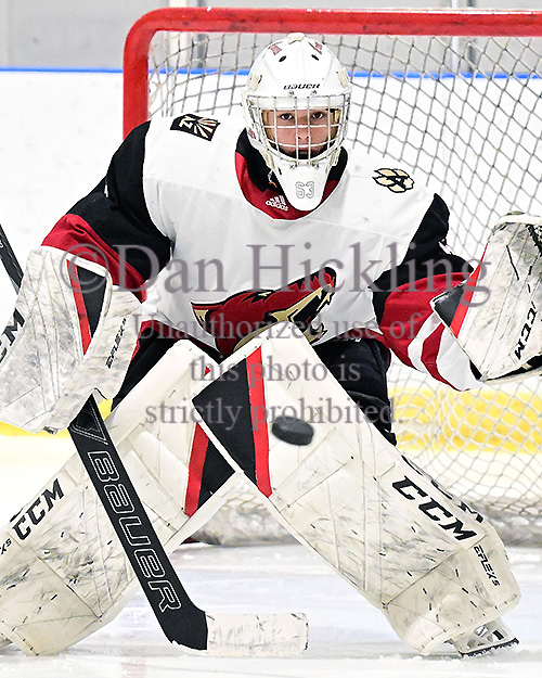 Connor MacKenzie - Elite Prospects