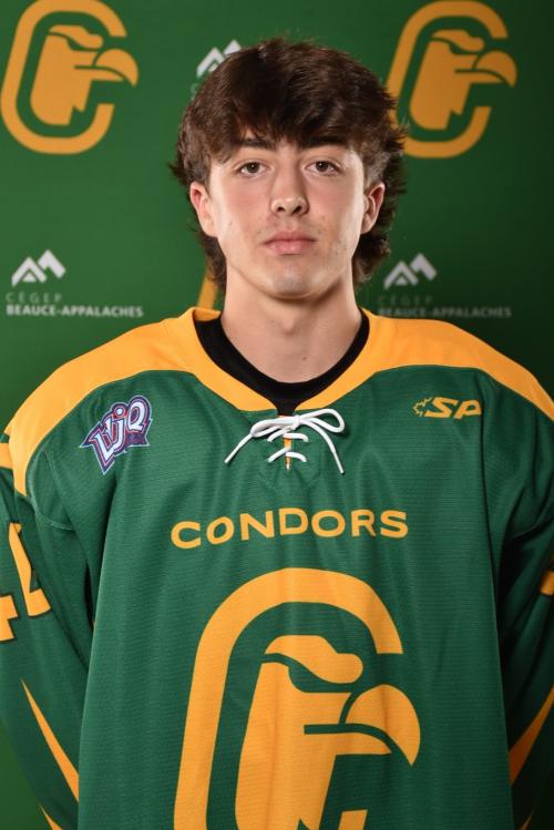 Nathan Plamondon-Michaud - Elite Prospects