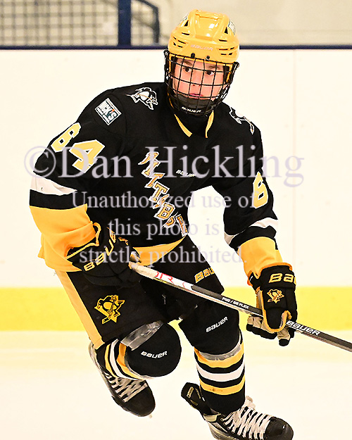 Drew Grasser - Stats & Facts - Elite Prospects