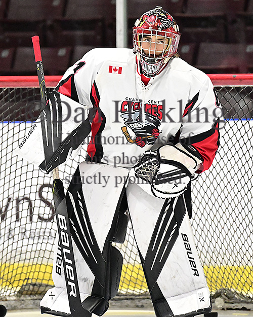 Russell Vaughan - Stats & Facts - Elite Prospects