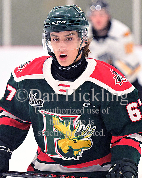 Lou Lévesque - Stats, Contract, Salary & More