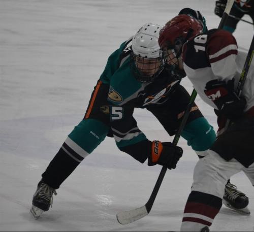 Brady Craik - Elite Prospects