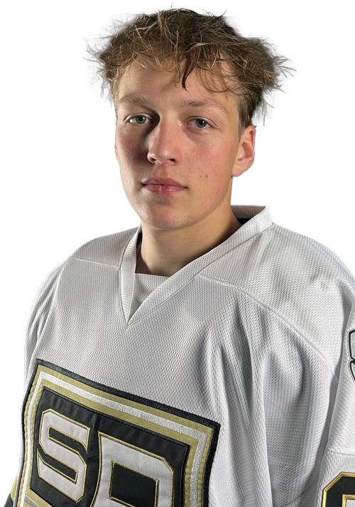 Michal Novák - Elite Prospects